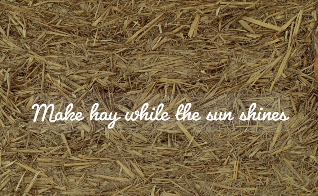 Make Hay While the Sun Shines | Heirs and Heralds Agro Allied Limited